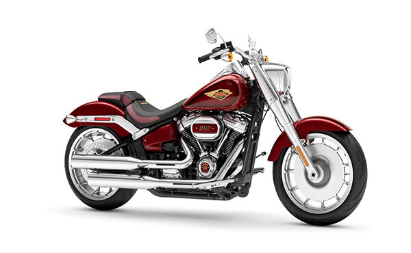 Harley Davidson Fat Boy Price, Mileage, Features, Colors in 2024 ...